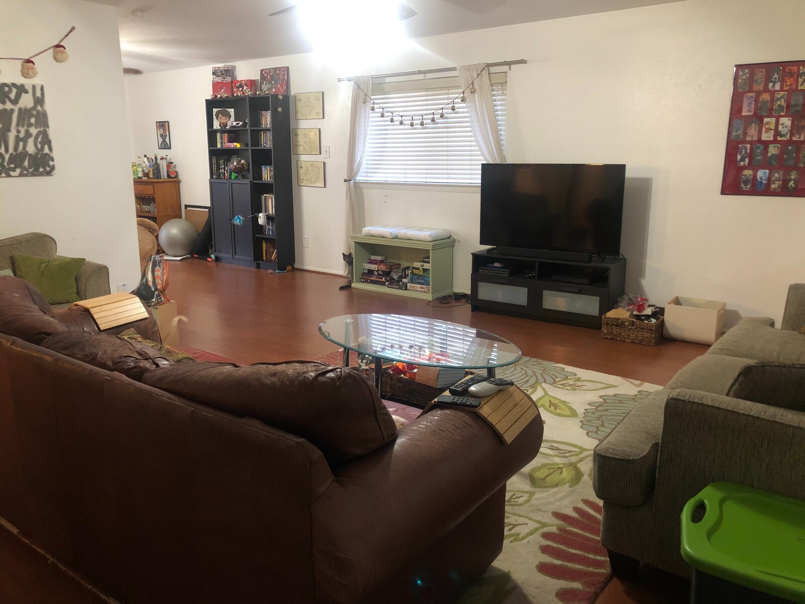 Taylor's UT Dallas Roommate Profile | Roomsurf