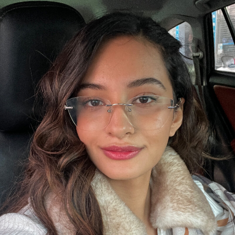 Paniz's University of Illinois Roommate Profile | Uloop